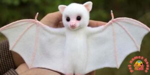 400+ Cute and Catchy Bat Names with Meanings