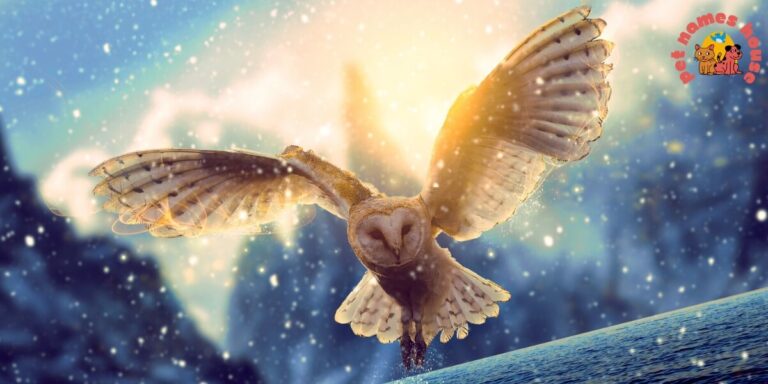 250+ Fantasy and Famous Owl Names with Meanings