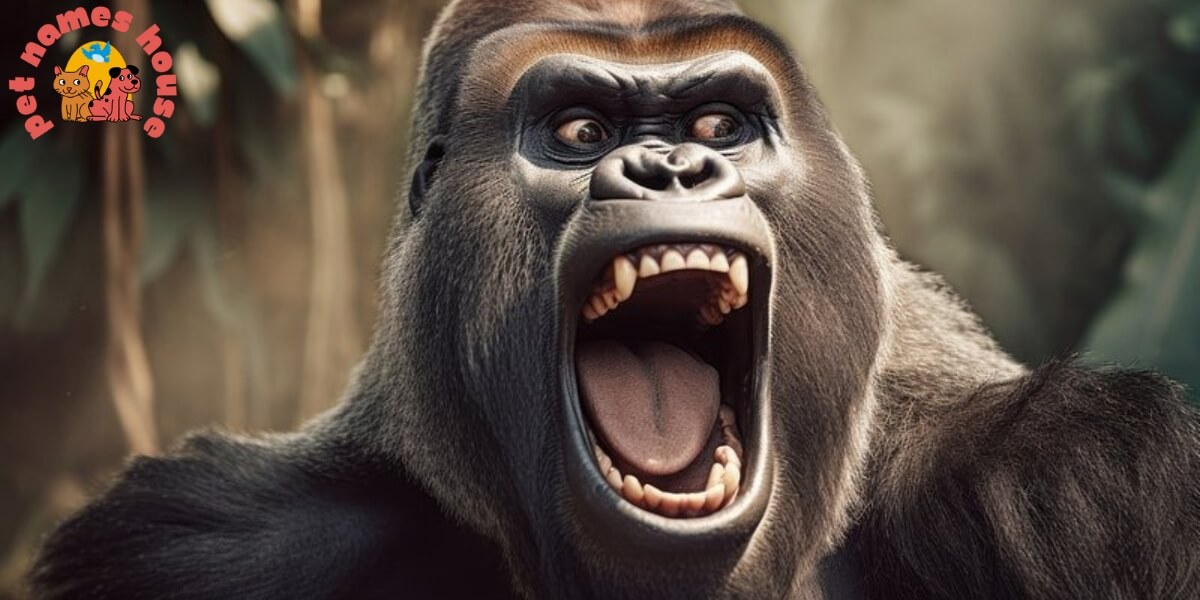 650+ Famous and Catchy Gorilla Names with Meanings