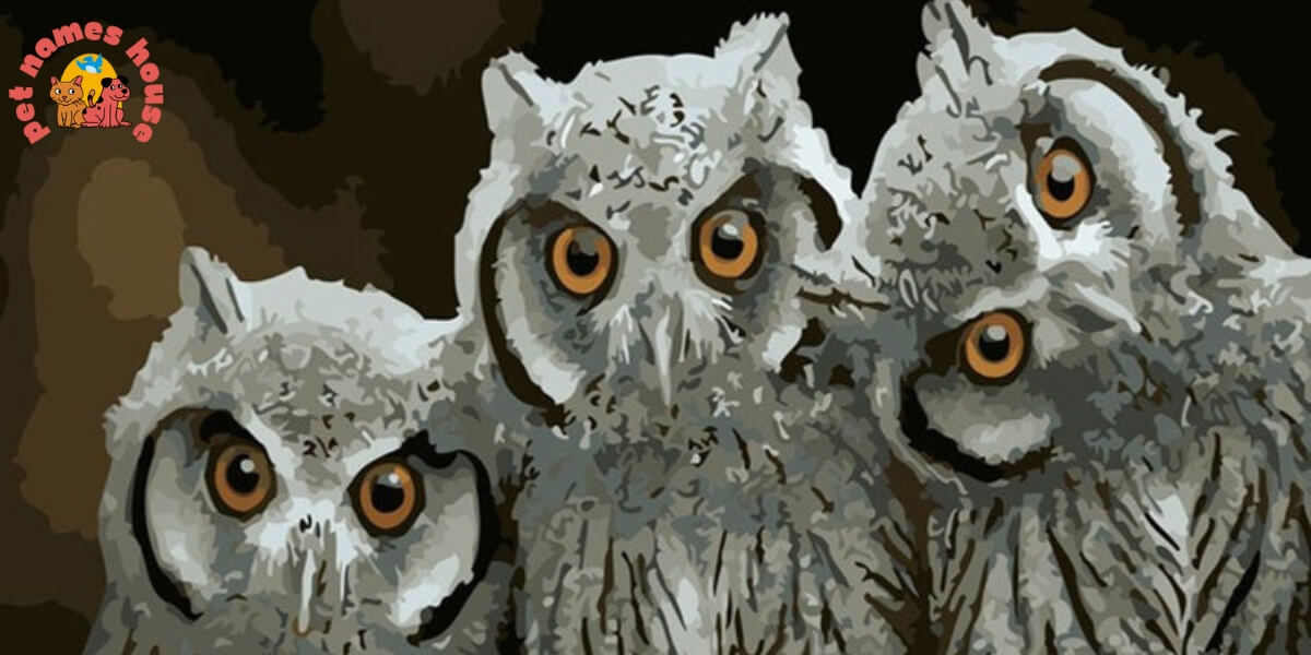 250+ Famous Owl Names with Meanings - Best Names Ideas