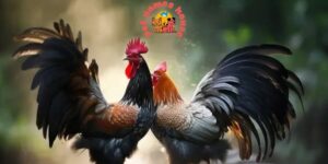 500+ Unique and Catchy Rooster Names with Meanings