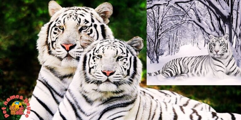 250+ Mythical and Famous Tiger Names With Meanings