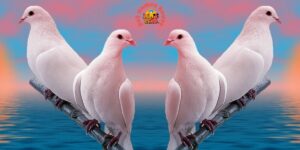 600+ Cute and Cool Pigeon Names with Meanings