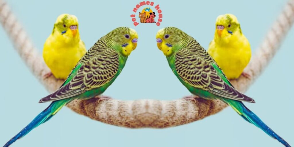 400+ Cute and Catchy Bat Names with Meanings