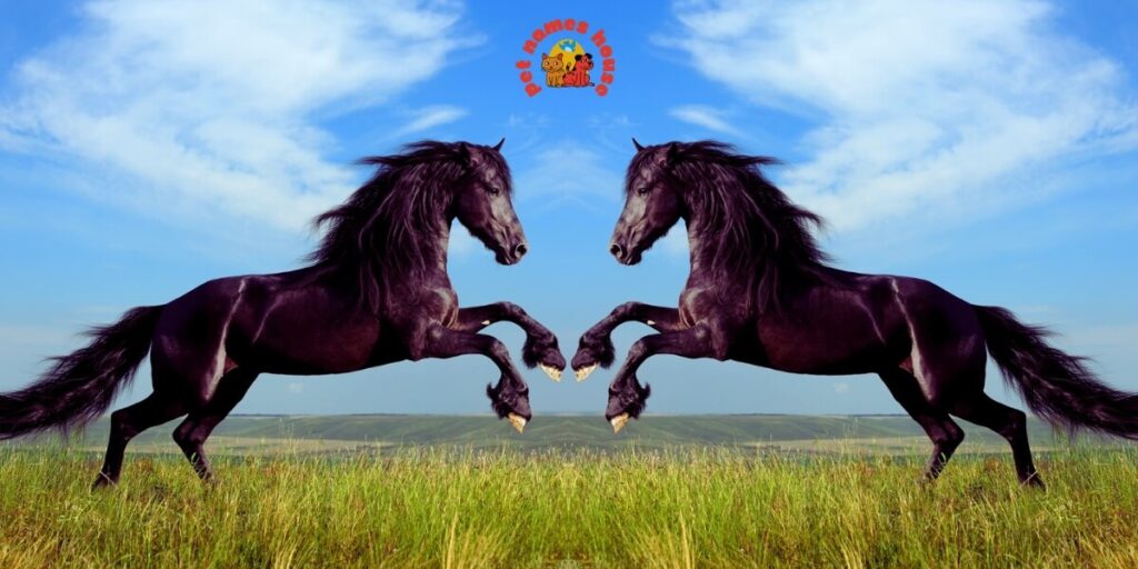 550+ Creative Camel Names with Meanings You’ll Love